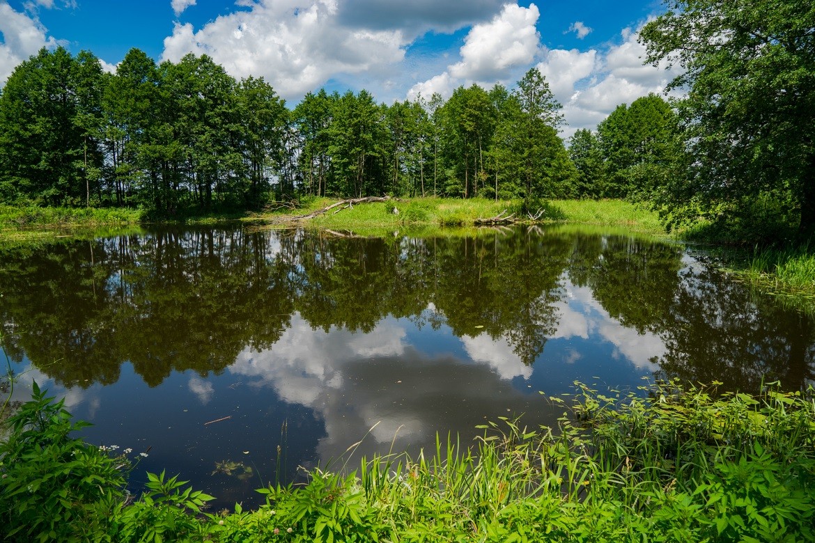 Home page - Pologne Travel (FR)